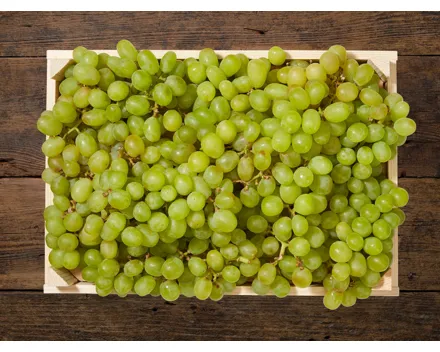 Aktionis.ch - intelligent Aktionen einkaufen