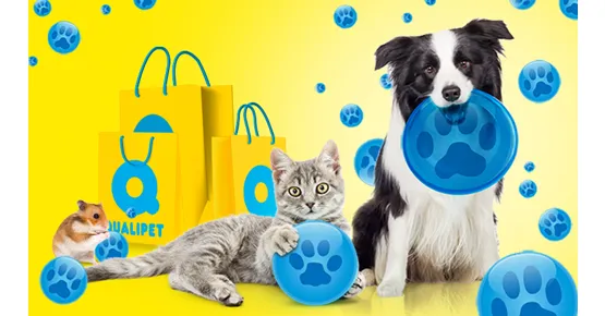 Gutschein: 200 Treuepunkte bei QUALIPET - Sihlcity