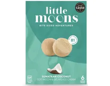 Little Moons Mochi Coconut / Raspberry / Roasted Pistachio - 20% Rabatt ...