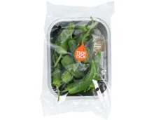 BBQ Grill Peperoni Padron - 69% Rabatt - Coop - ab 20.06.2023 - Aktionis.ch