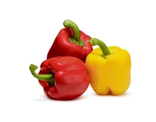 Coop Naturaplan Bio-Peperoni, Spanien, Packung à 500 g - 14% Rabatt ...