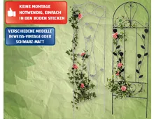 GARDENLINE® Metall-Rankspalier - ALDI Suisse - ab 23.04.2015 - Aktionis.ch