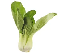 Pak-Choi 1 Stück - Coop - ab 23.01.2024 - Aktionis.ch