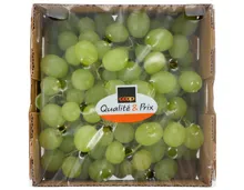 Trauben weiss kernarm - 25% Rabatt - Coop - ab 12.09.2023 - Aktionis.ch