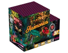 WECO Harmonica 54 Schuss - ALDI Suisse - ab 29.12.2025 - Aktionis.ch