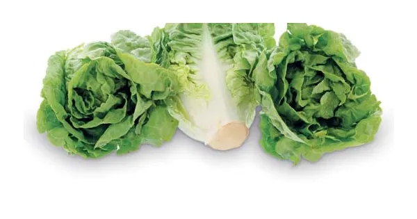 mini Lattich - SPAR - ab 05.06.2018 - Aktionis.ch