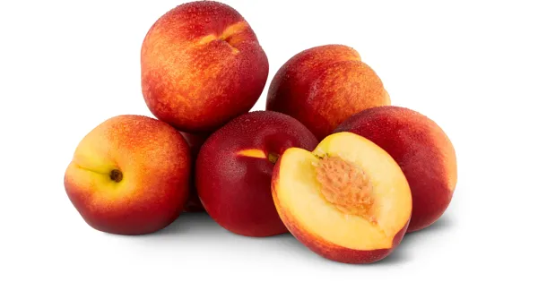Bio Nektarinen - 24% Rabatt - Migros - ab 23.08.2022 - Aktionis.ch