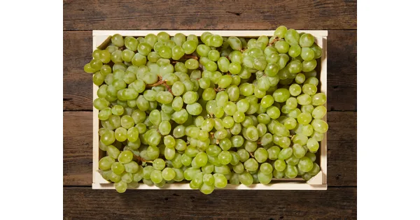 Helle Trauben - 32% Rabatt - LIDL - ab 15.10.2020 - Aktionis.ch