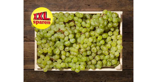 Helle Trauben XXL - 37% Rabatt - LIDL - ab 13.10.2022 - Aktionis.ch