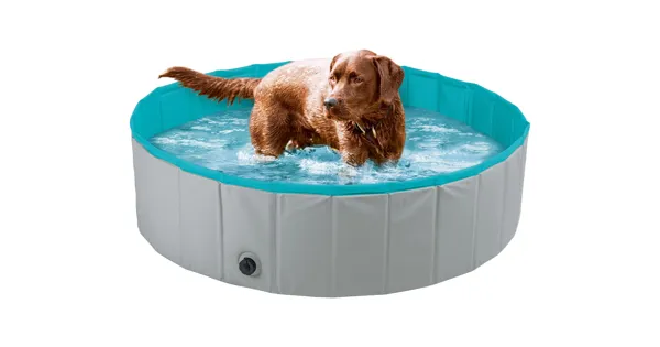 Hundepool - LIDL - ab 20.05.2024 - Aktionis.ch