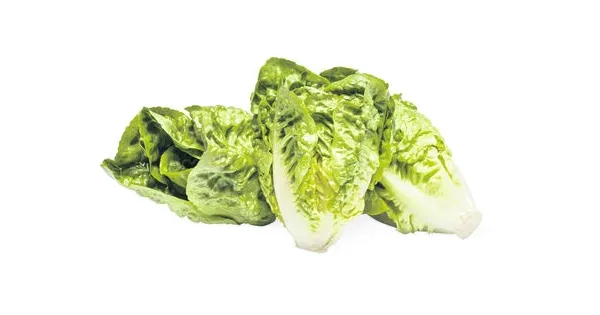 Mini-Lattich, Bio - 35% Rabatt - Migros - ab 27.05.2014 - Aktionis.ch