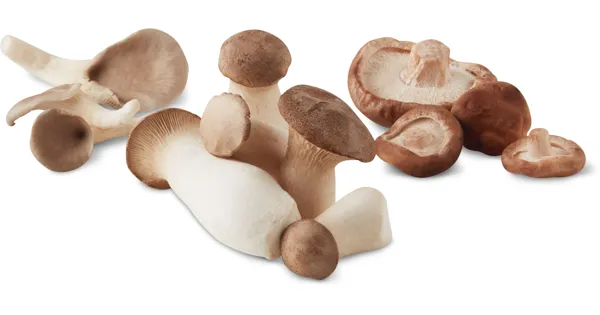 Migros Bio Edelpilze - 20% Rabatt - Migros - ab 20.01.2026 - Aktionis.ch