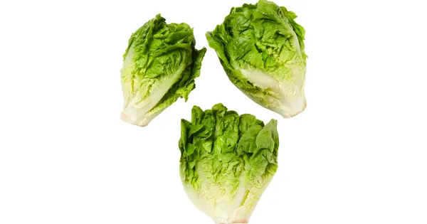 Mini-Lattich - 23% Rabatt - Denner - ab 02.01.2023 - Aktionis.ch