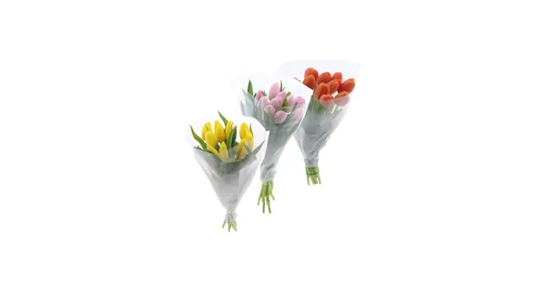Silvester Tulpen - ALDI Suisse - ab 29.12.2025 - Aktionis.ch